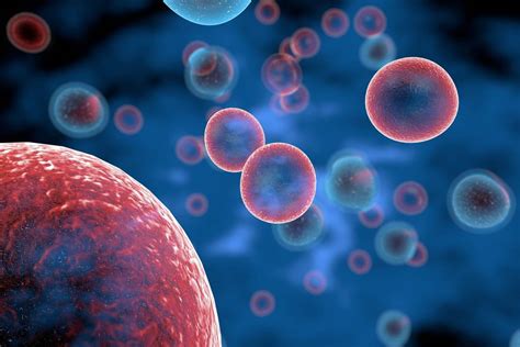 From Pico Anxiety To Pico Strategy Planning For Eu Hta Success Cencora