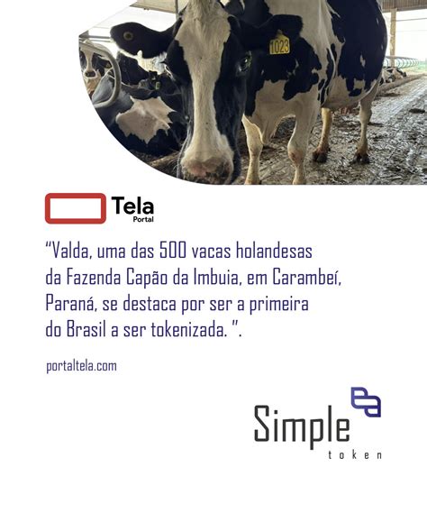 Token Simpletoken Tokenizacao Avacavalda Agro Agronegócio Agrotoken Simple Token