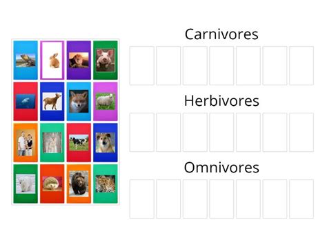 Carnivores Herbivores And Omnivores Group Sort