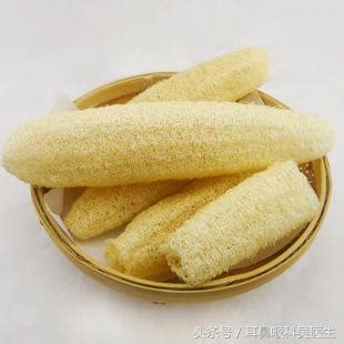 每日一講之絲瓜絡 每日頭條