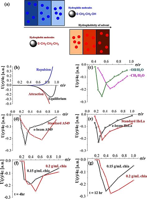 Schematic Illustration Of The Neutral Particle Interactions In Solvents