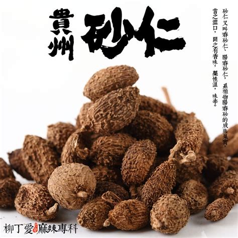 柳丁愛 陽春砂 砂仁50gA841砂密 縮砂仁 宿砂仁 陽春砂仁 川砂仁 月桂葉 香葉 小茴香 大茴香 荳蔻 蝦皮購物