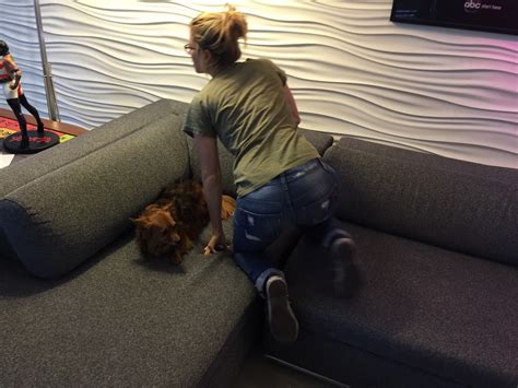 Iliza Shlesinger Thefappening Leaked Over Hot 200 Photos The