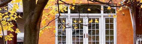 4 Signs Of A Healthy Tree