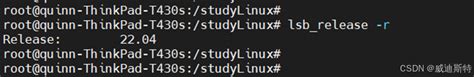 Linux命令：用于显示 Linux 发行版信息的命令行工具lsbrelease详解lsb Release Csdn博客