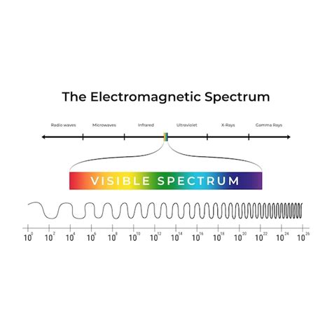 전자기 스펙트럼 Infographic 자기 파장 다이어그램 물리학 자기 방사선 파 벡터 일러스트 레이 션 전자기 스펙트럼의 다이어그램 프리미엄 벡터