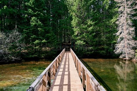 Wooden Pedestrian Bridge With Handrails Across A Lake To A Forested