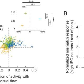 Functional Cell Type Specific Expression Of IEGs In Visual Cortex A