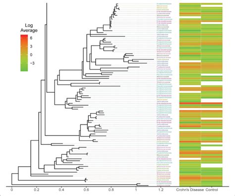 phylogenetic tree from the open reference clustering methods showing