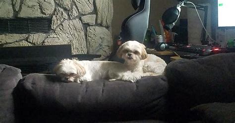 Why Arent You Over Here Witg Us Face Album On Imgur