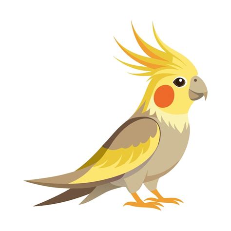 Page 2 Yellow White Bird Yellow Mohawk Vectors And Illustrations For Free Download