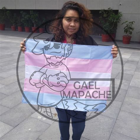 Comprar Banderas En Gael Mapache