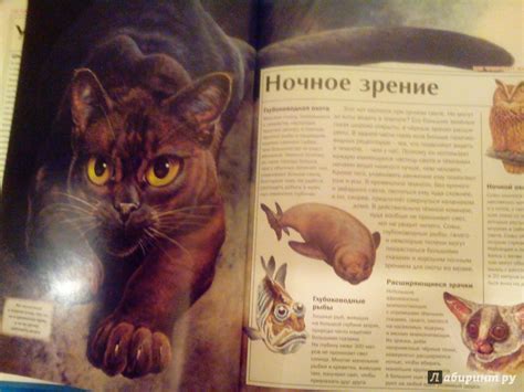 Книга: Все о животных больших и маленьких. Необычные способности умных ...