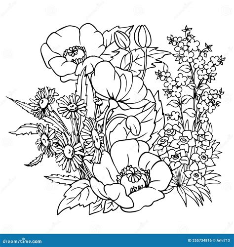 花罂粟甘菊矢量图 黑白 向量例证 插画 包括有 春黄菊 三叶草 艺术 书籍 草本 邀请 255734816