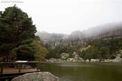 Explora La Magia De El Bosque Prohibido Y La Laguna Armadillochilecl