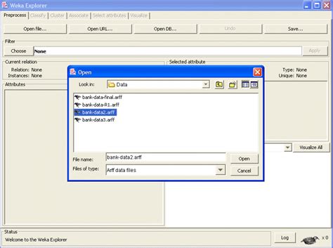 Data Preprocessing In Weka