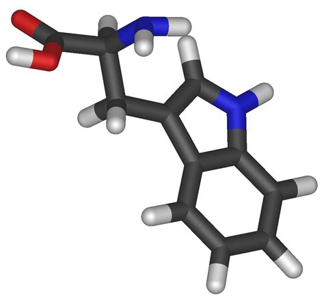 Tryptophan Psychology Wiki Fandom Powered By Wikia