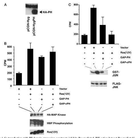 Figure 3 From The Rasp120 Gtpase Activating Protein Gap Interaction