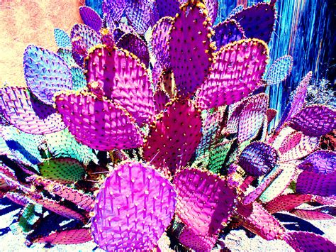 Violeta Mixed Media By Mb Dallocchio Fine Art America