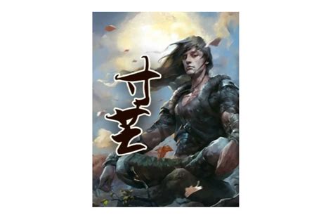 寸芒 网络小说 搜狗百科