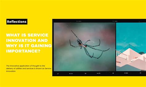 What Is Service Innovation And Why Is It Gaining Importance Theomnibuzz