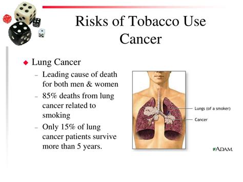 Ppt Risks Of Tobacco Use Powerpoint Presentation Free Download Id