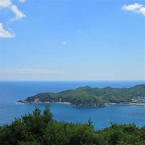 観る・学ぶ｜南伊勢町観光協会