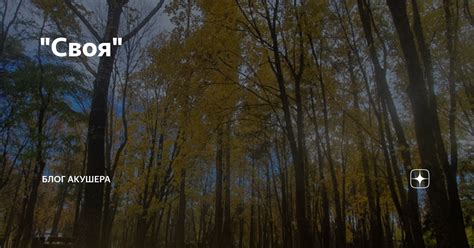 Своя Блог акушера Дзен