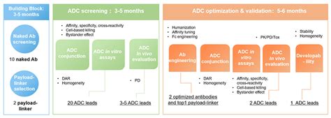 Adc Discovery Service Adc Conjugation Naked Antibody Discovery