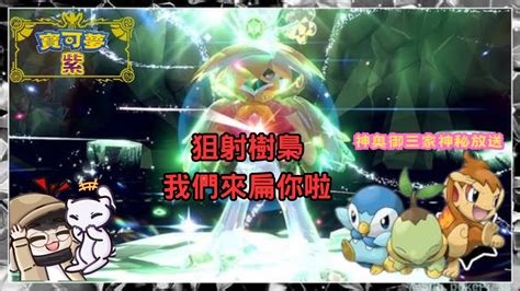 寶可夢 朱紫｜最強狙射樹梟~我們來扁你啦~神秘的神奧御三家｜桐牌戰兔 Youtube