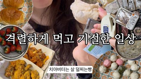 다이어트 먹방 브이로그 식욕 터진 연말 불상사 액땜 2025 더 잘먹으려구요 1인가구 직장인 집순이 히키코모리 집밥 먹방 Vlog Youtube