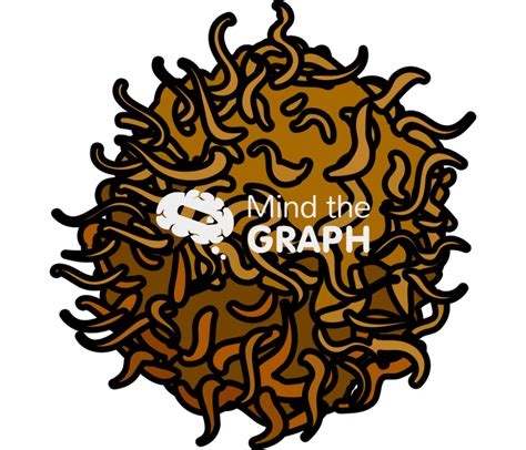 Amyloid Plaque Mind The Graph