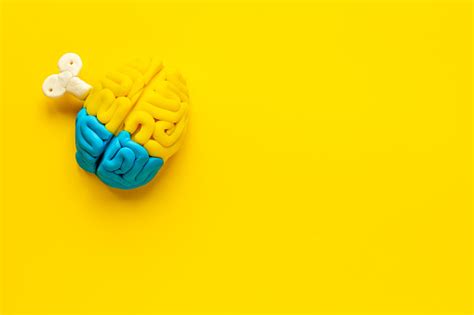 아이디어 개념 뇌의 작품 화려한 점토 최고 보기로 만든 모델 개념에 대한 스톡 사진 및 기타 이미지 개념 건강관리와 의술