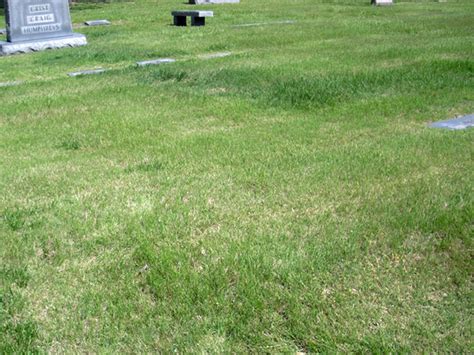 Charles Logan Mcvicker Inconnu 1939 Mémorial Find A Grave