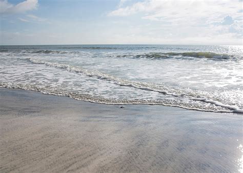 Conserve Nassau Team Members — Conserve Nassau