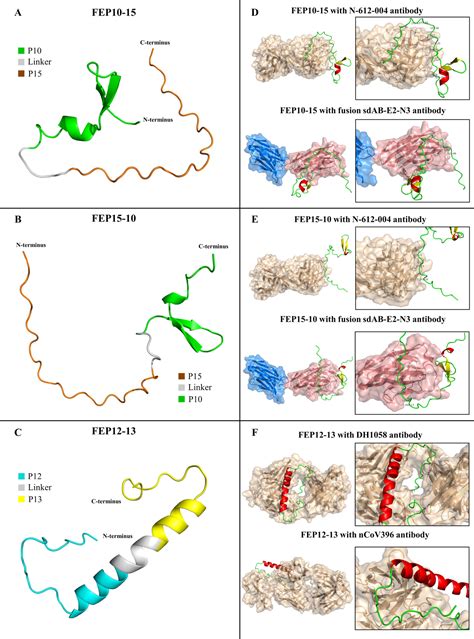 Fusing Peptide Epitopes For Advanced Multiplex Serological Testing For