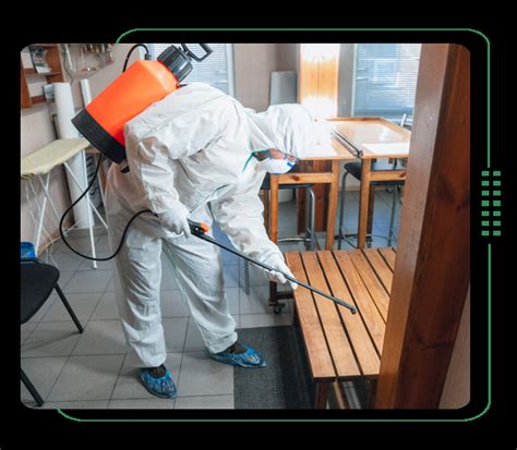 Common Household Pest Prevention And Control In Bangladesh
