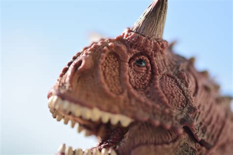 Dinosaurier Dino Carnotaurus Kostenloses Foto Auf Pixabay Pixabay
