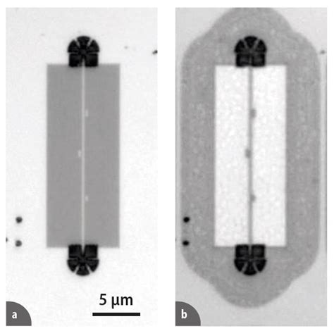 Characterization Of Membrane Photonic Crystal Devices Sensofar