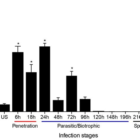 Relative Transcript Levels Of PsMV2 At Different Pst Infection Stages