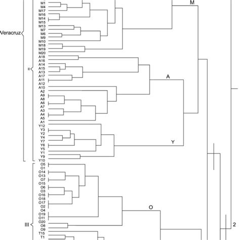 Upgma Phenetic Dendrogram Based On Jaccards Coefficient Indicating