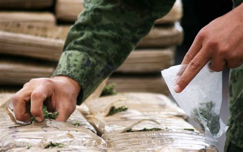 Fgr Aseguró 11 Toneladas De Mariguana Y Un Millón De Pastillas De