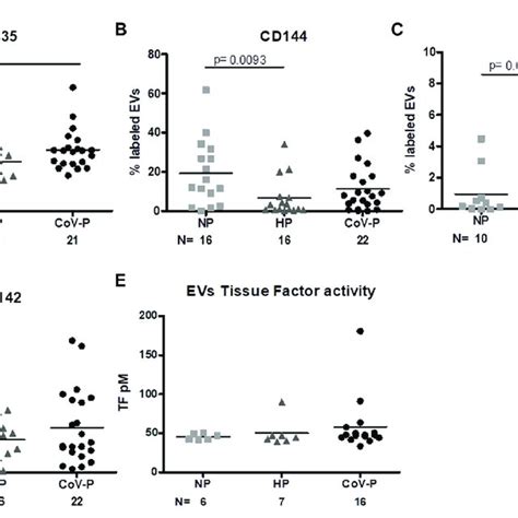 Evs Vascular And Endothelial Marker Expression Ev Membrane Antigen