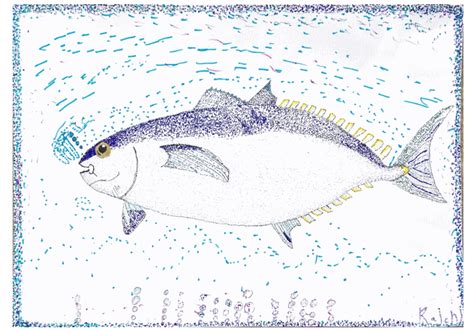 点描海の生き物 中村絵画教室
