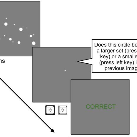 An Example Trial Of Experiment 1 Download Scientific Diagram