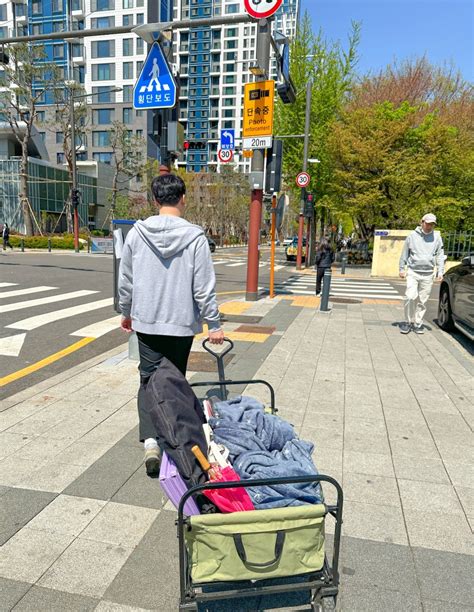 반포 한강공원 텐트 대여 낭만소풍 세빛섬 무지개분수 네이버 블로그