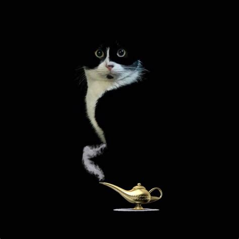 Errcode40029errmsginvalid Code 到底如何排查？ 开发者社区 企业微信开发者中心