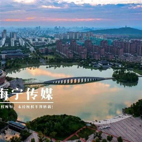 海宁这次又要火了！三部委专门为两所高校发文！建设国际发展