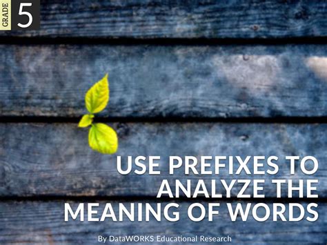 Use Prefixes To Analyze The Meaning Of Words Lesson Plans