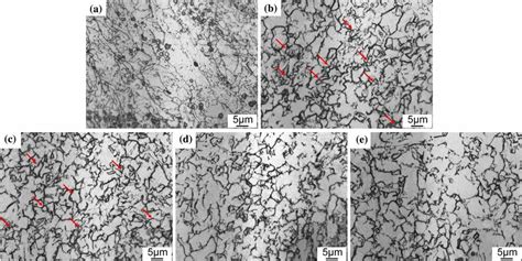 OM Micrographs Showing Grain Boundaries Of ICHAZ With Austenite
